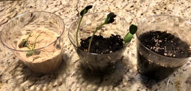 3-1/2 Year Olds: They Are a Meltdowny Mess and Love Science Experiments ...