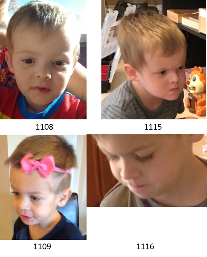 Head Shape Comparisons During Children’s Brain Growth - The Observant Mom