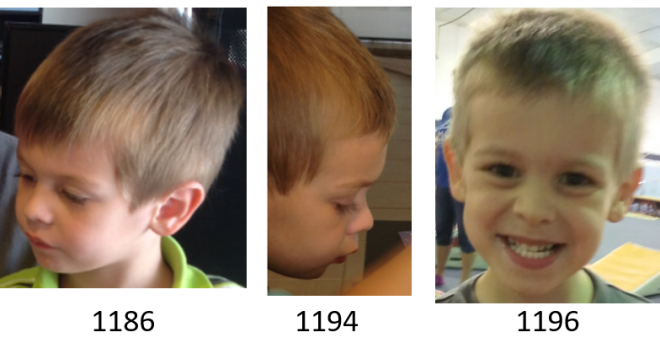 Head Shape Comparisons During Children’s Brain Growth - The Observant Mom