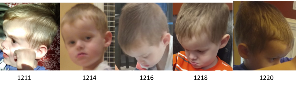 Head Shape Comparisons During Children’s Brain Growth - The Observant Mom